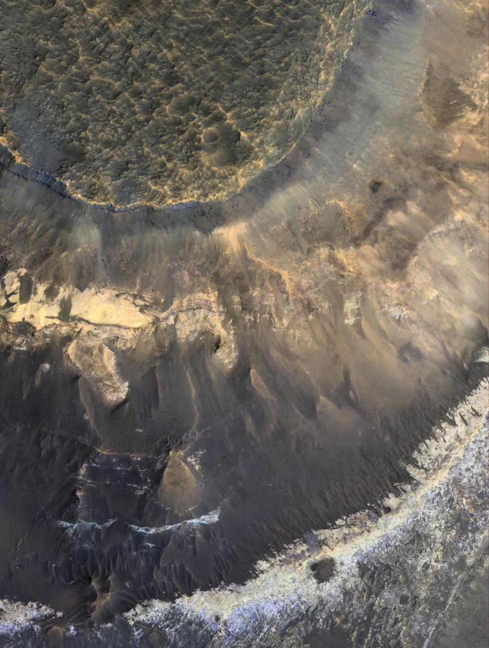 Mars life proof may have just been discovered say scientists | indy100