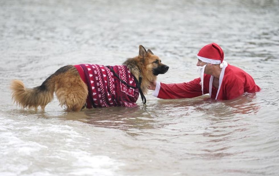 In Pictures: Plucky bathers take a Christmas dip | indy100