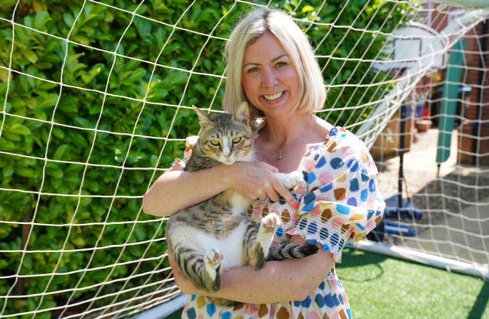 England mascot Dave the cat supporting Lionesses from his new home ...