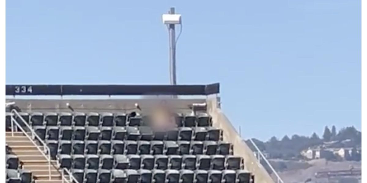 Couple Spotted Engaging In Sex Act At Oakland Athletics Game Indy100