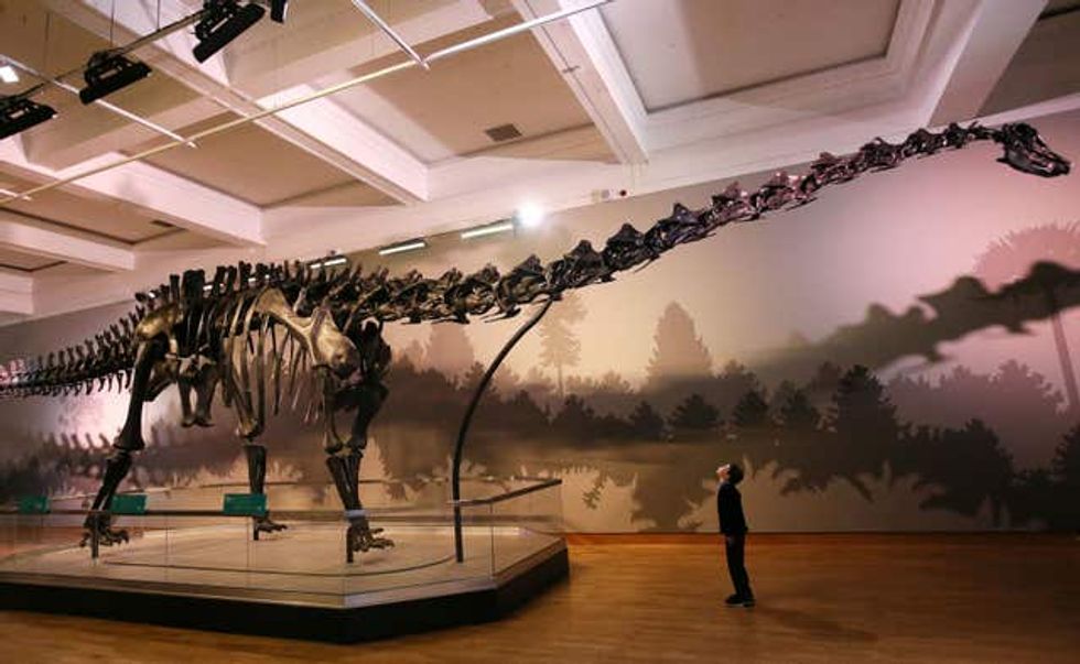 Dippy The Dinosaur To Return To Natural History Museum Indy100