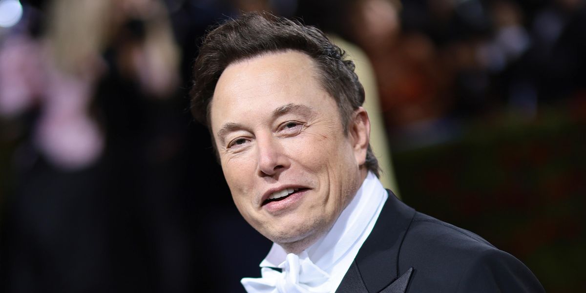 Elon Musk Posts About Sexy 18th Century Portrait In Bizarre Tweet Indy100