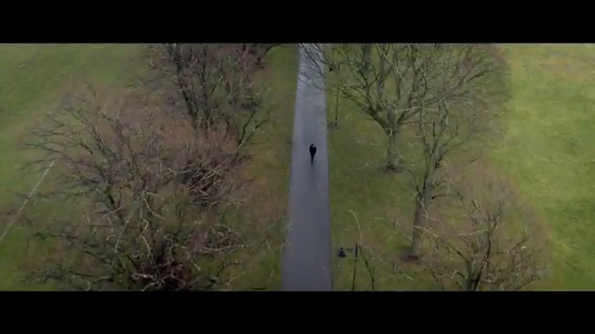 The Show (2020) - teaser trailer | indy100