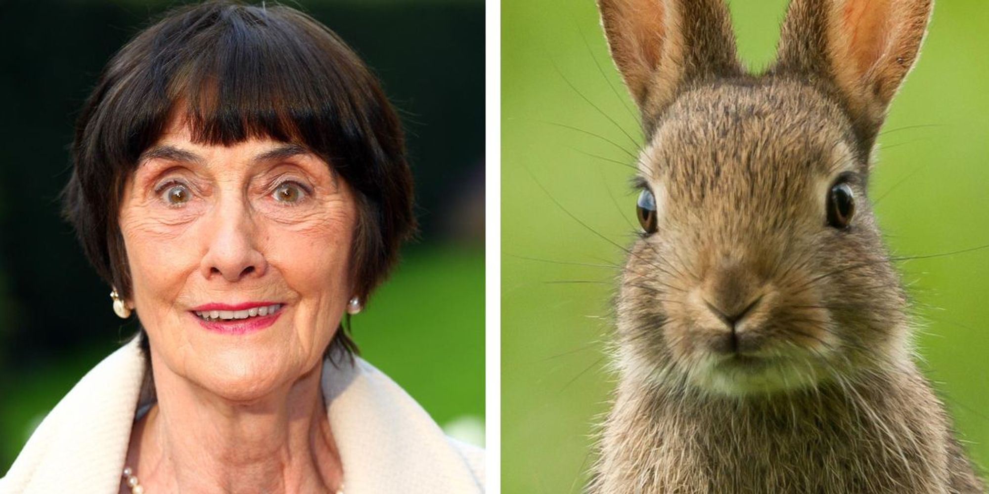June Brown once said she used to gas rabbits in biscuit tins then cut ...
