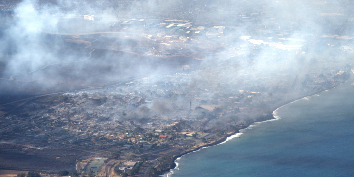 Devastating Maui Fires Sparks Concerns About Beloved Banyan Tree Indy100 devastating-maui-fires-sparks-concerns-about-beloved-banyan-tree-indy100