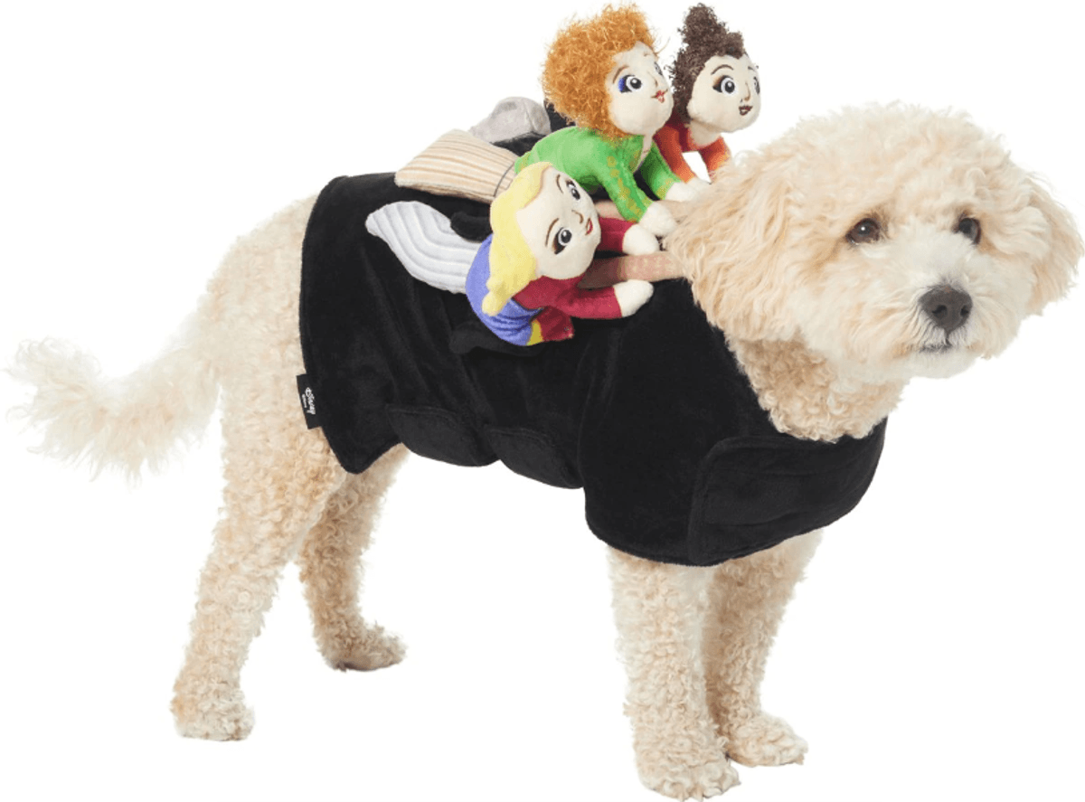 Disney Hocus Pocus Ride-On Sanderson Sisters Dog & Cat Costume | indy100