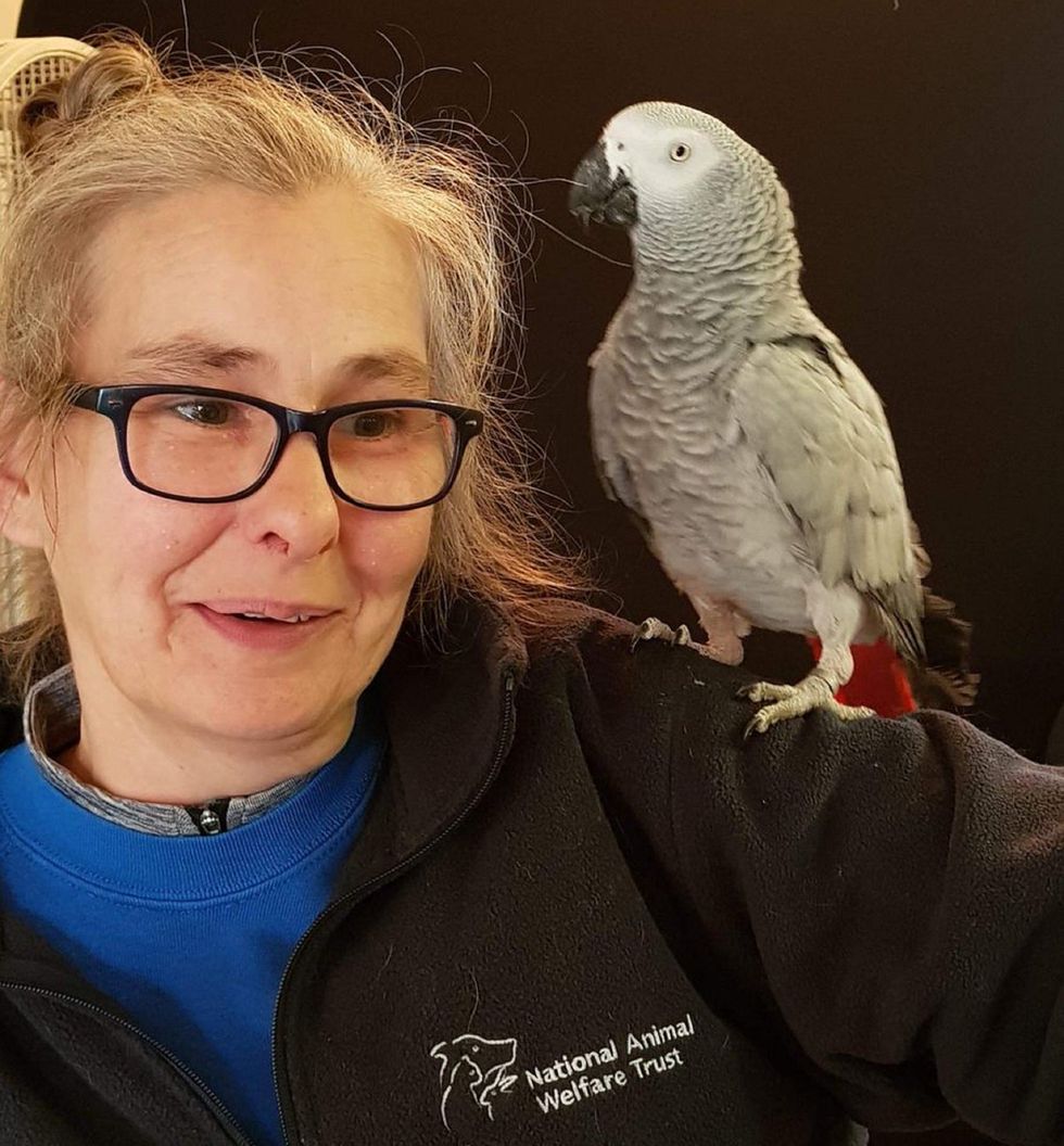 Mischievous parrot befriends an Alexa device and keeps ordering items ...