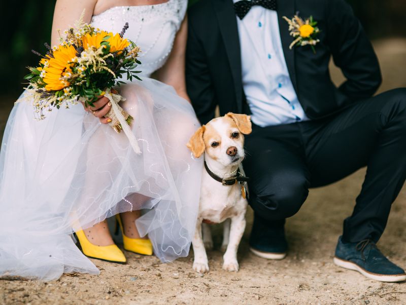 Larissa Banting Wedding