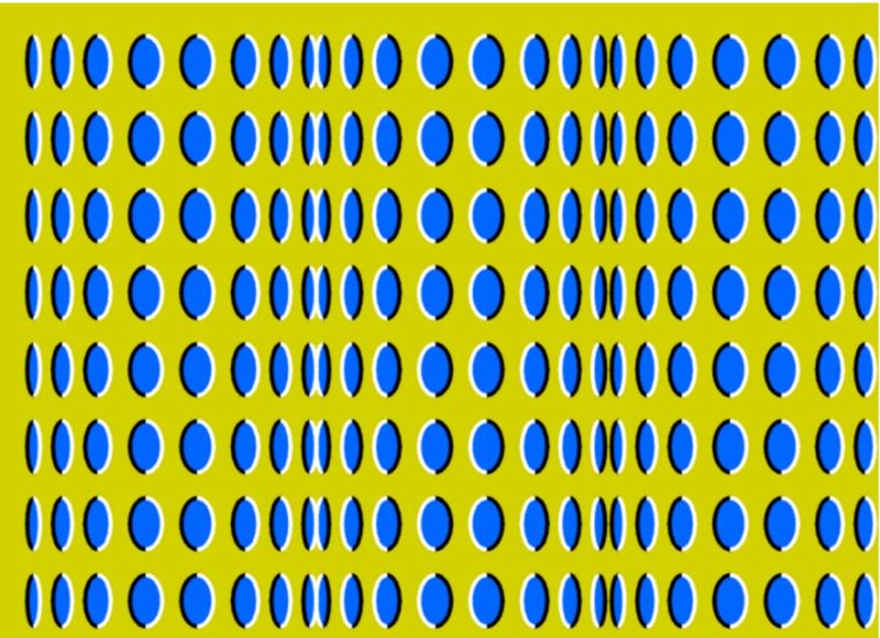 Pictures That Move When You Look At Them View The World Through