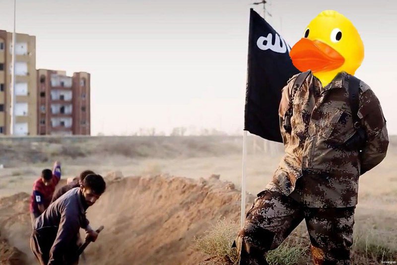 Duck Isis Memes I'm A Soft Little Meme