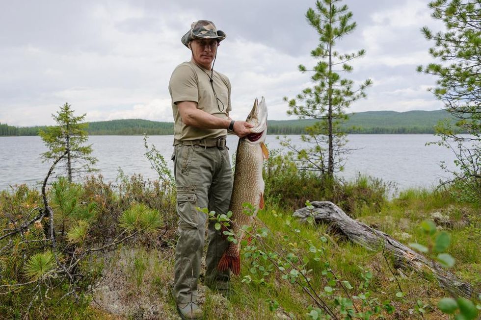 Here is an unsettling image of Vladimir Putin cuddling a koala ...