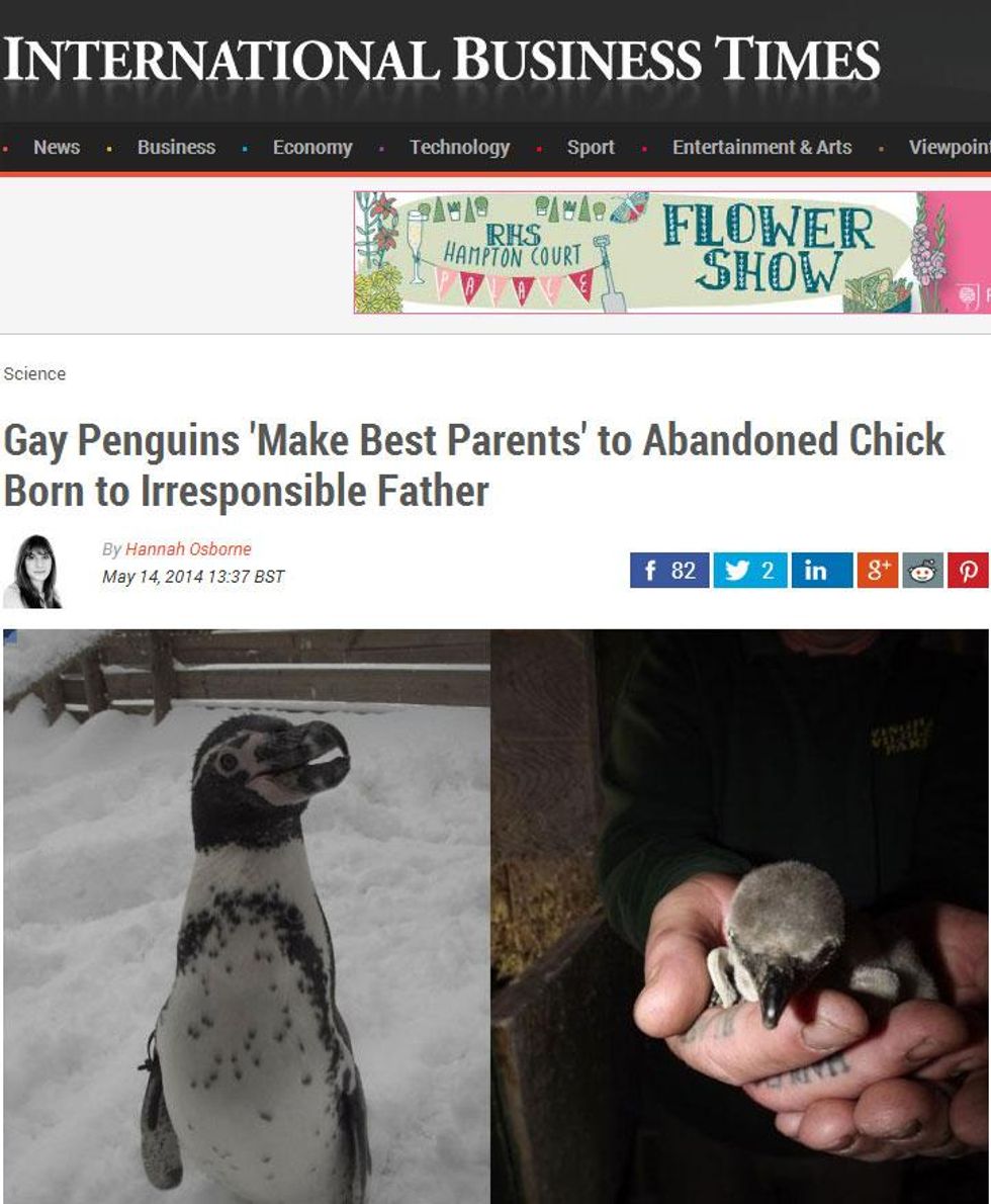 14 of the most uplifting news stories ever | indy100 | indy100