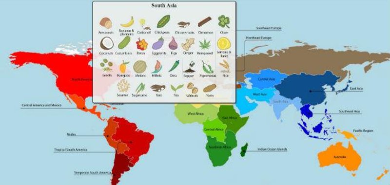 World Hunger Asia Dire Food Shortages In Gaza, 'desperation Due To