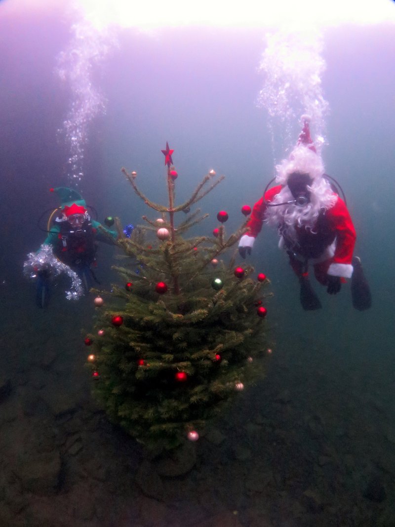 Underwater Christmas Tree