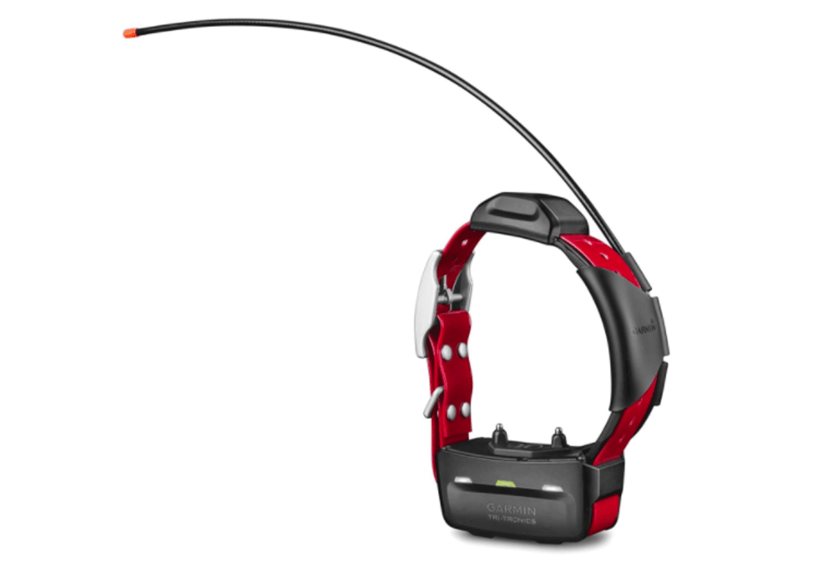 Garmin TT 15 Dog Device | indy100