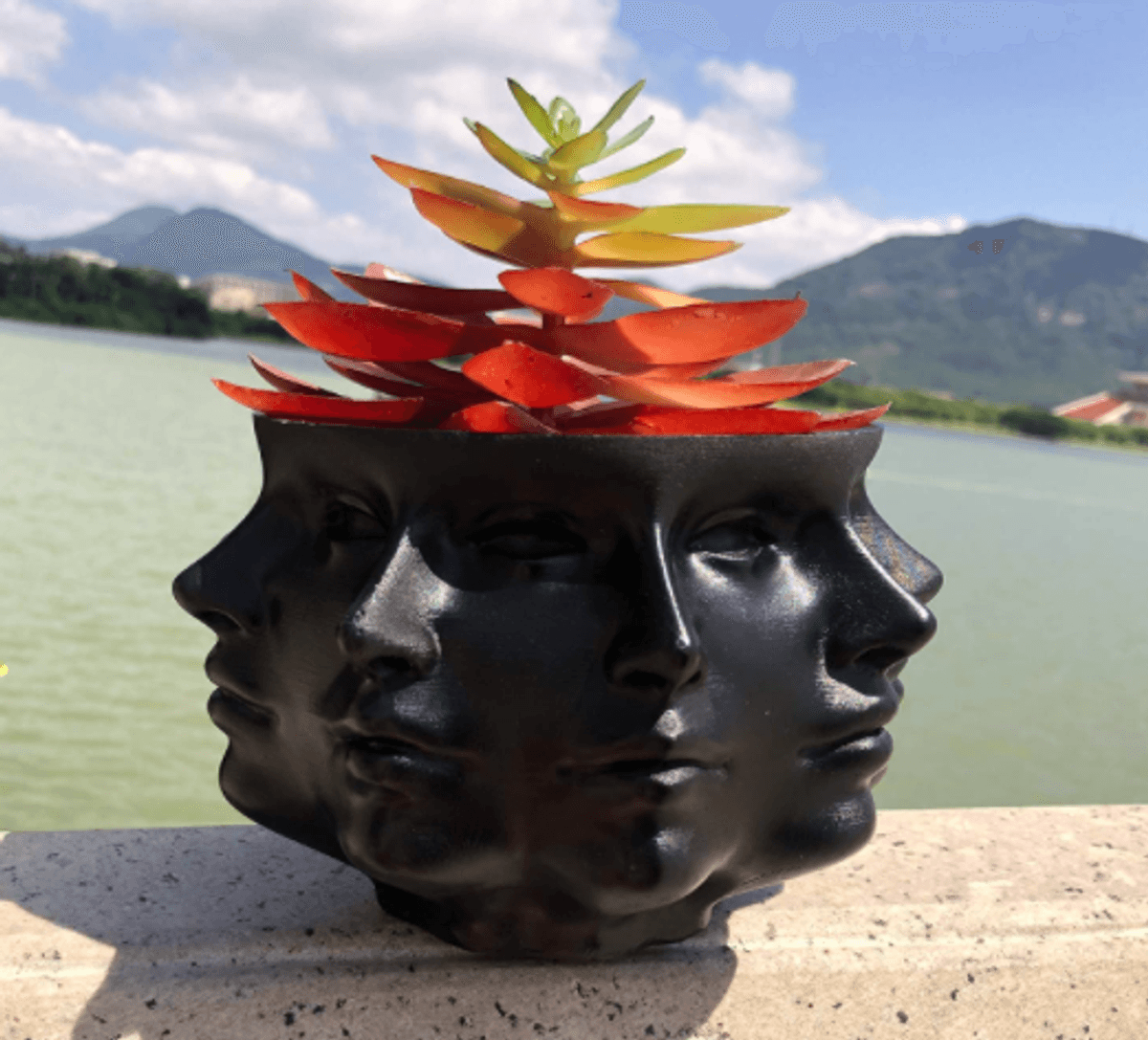 Multi-Face Succulent Planter Vase | indy100