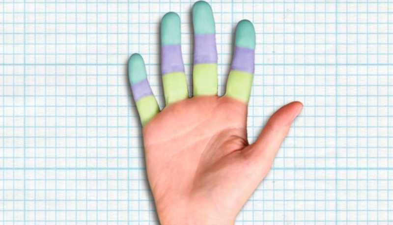 Finger Numbering Anatomy Download Reference Photos Of Hands