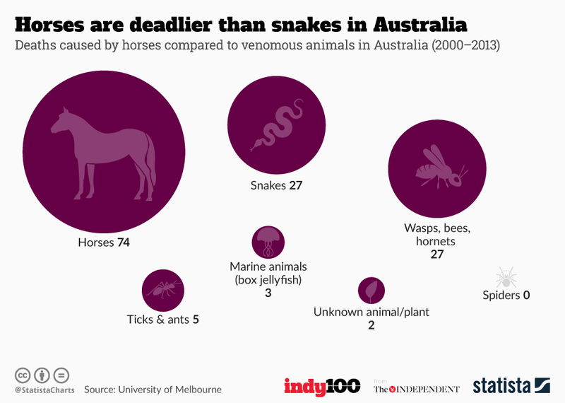 Most Dangerous Animals Chart Top 25 Dangerous Animals Quiz