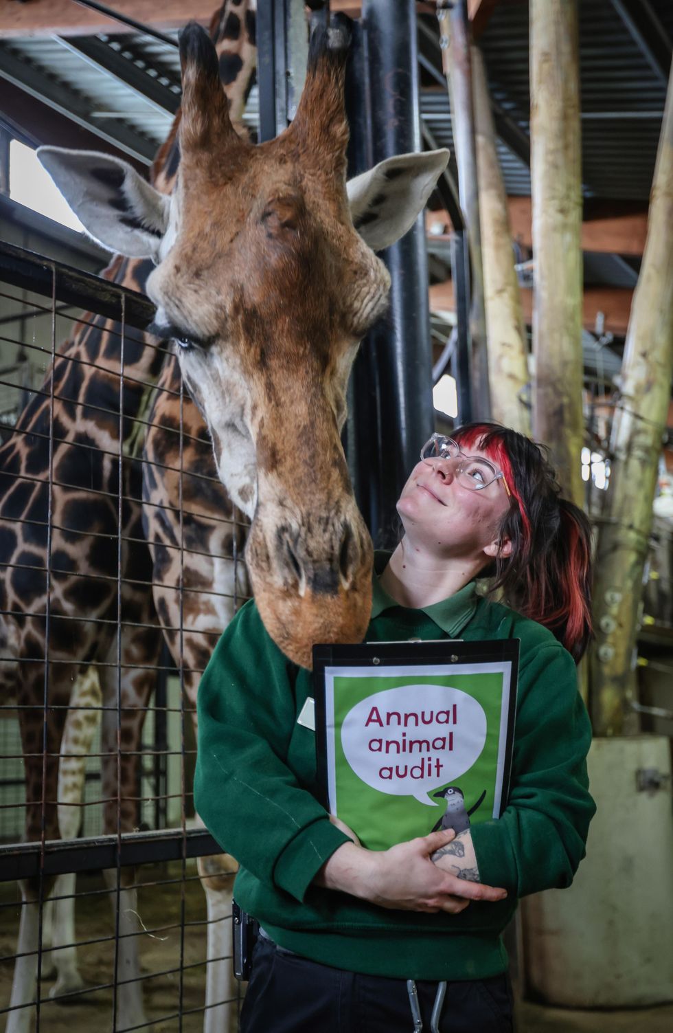 Zoo staff take stock for annual animal audit | indy100