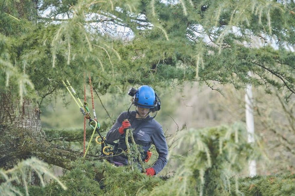 Royal Horticultural Society’s second female arborist hopes to inspire ... Royal Horticultural Society’s second female arborist hopes to inspire ...