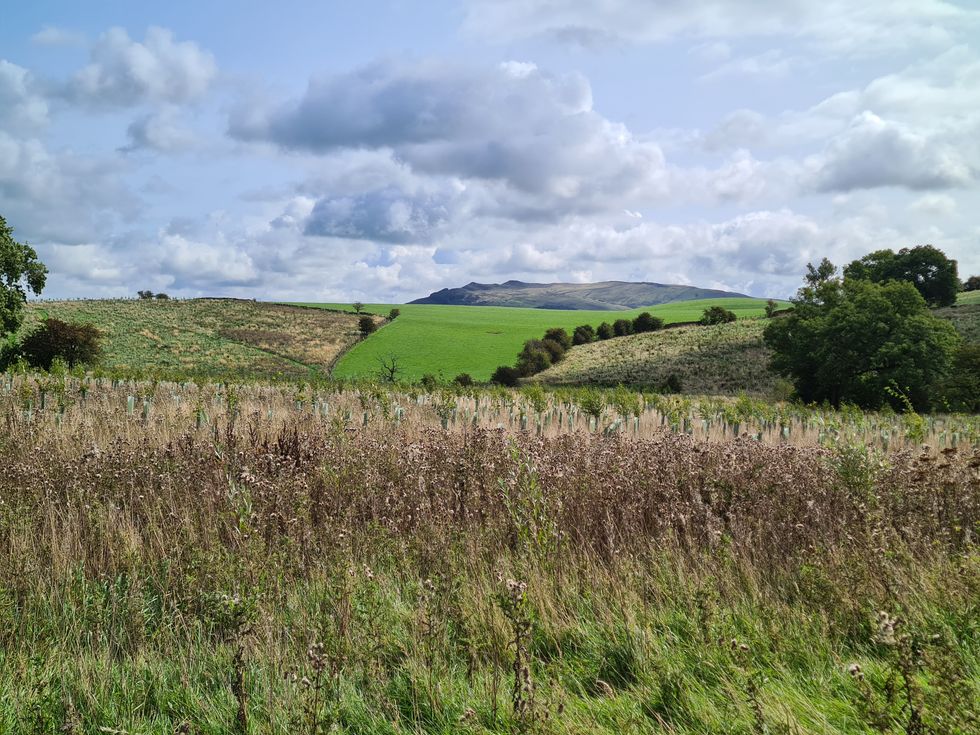 Creating an ‘oasis of bio-abundance’ in the North Yorkshire countryside ...
