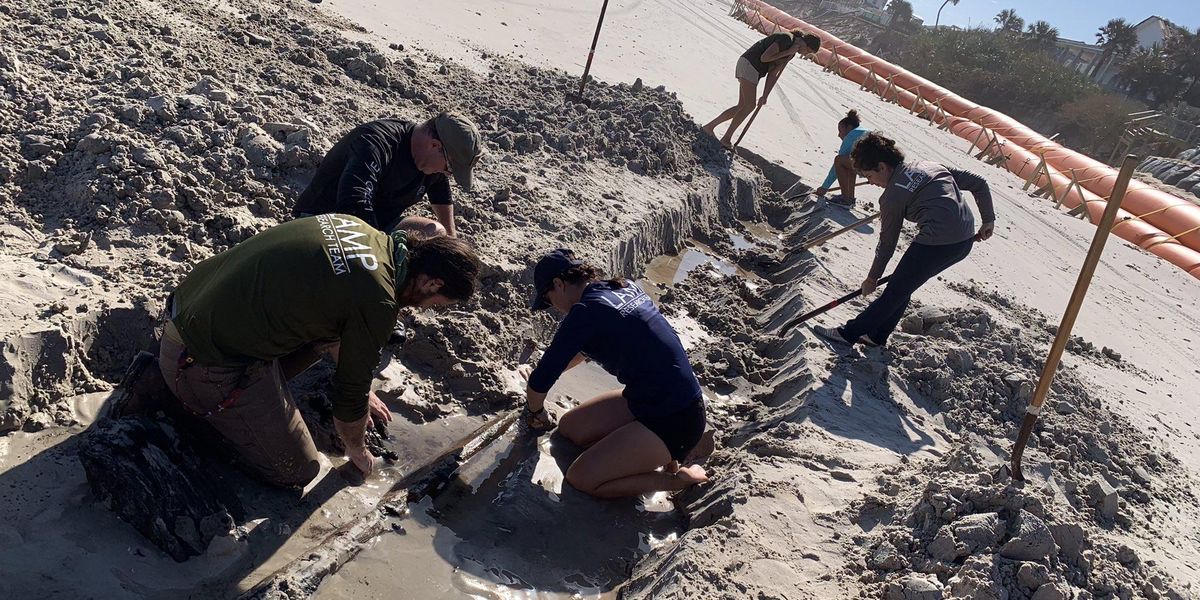 Huge Mysterious Object Uncovered On Florida Beach Has Been Identified