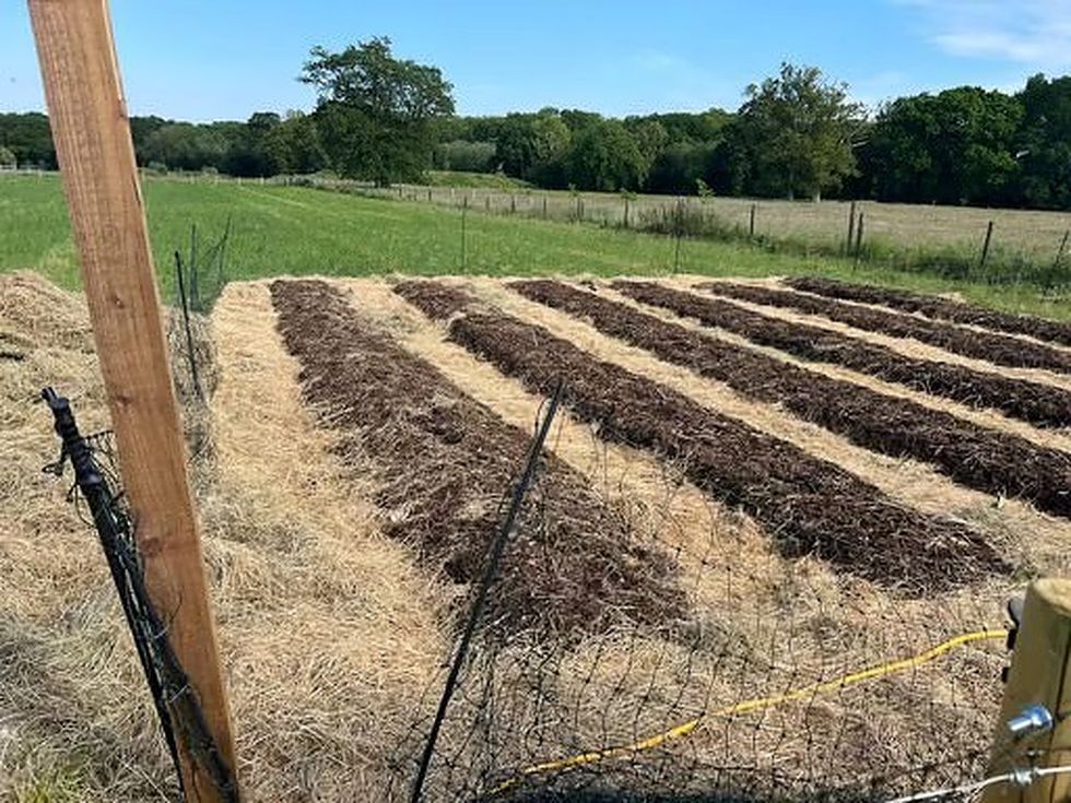 British Muslim woman overseeing experimental farm at Islamic convention ...