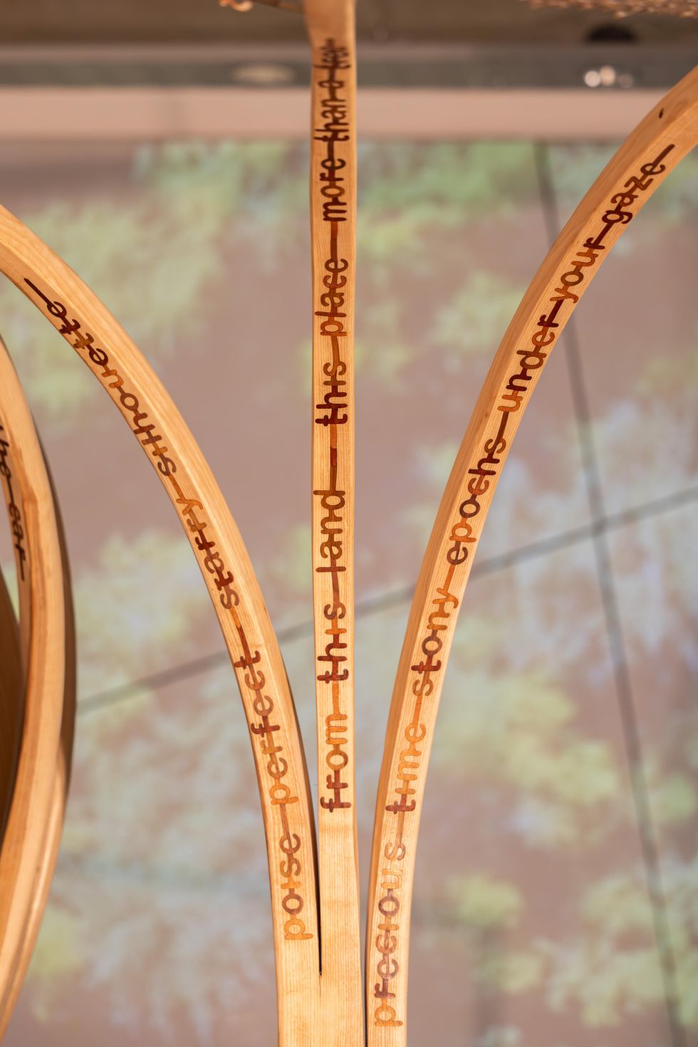 Sycamore Gap tree trunk installation to go on display | indy100
