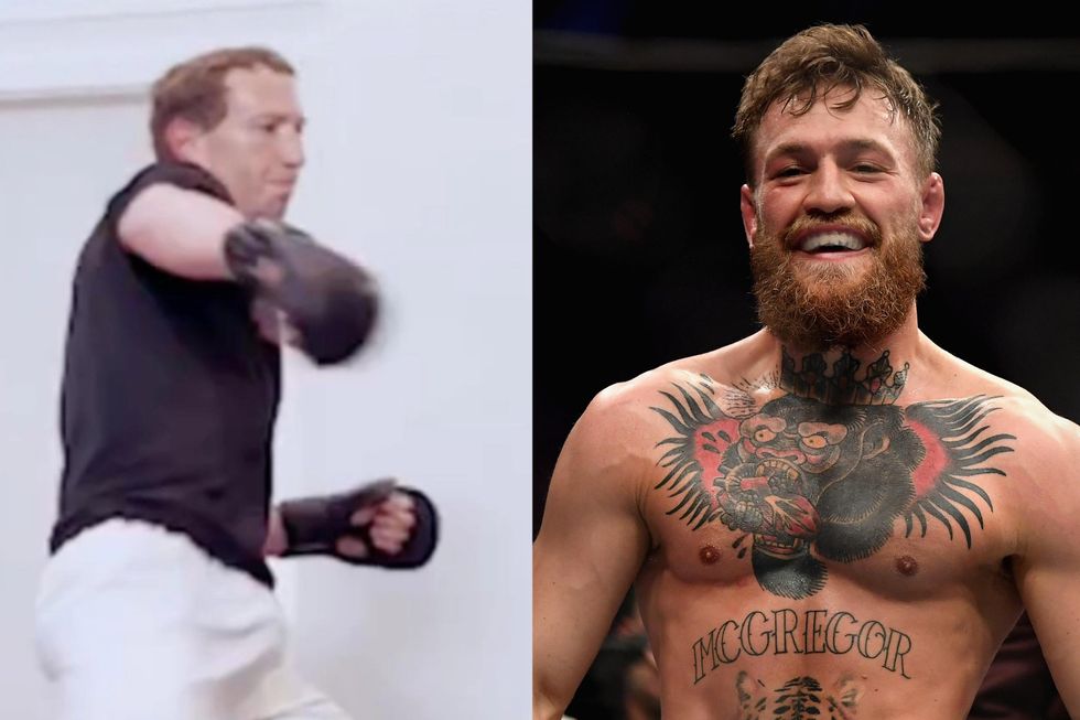 Mark Zuckerbergs Mma Skills Have Been Praised By Conor Mcgregor Indy100