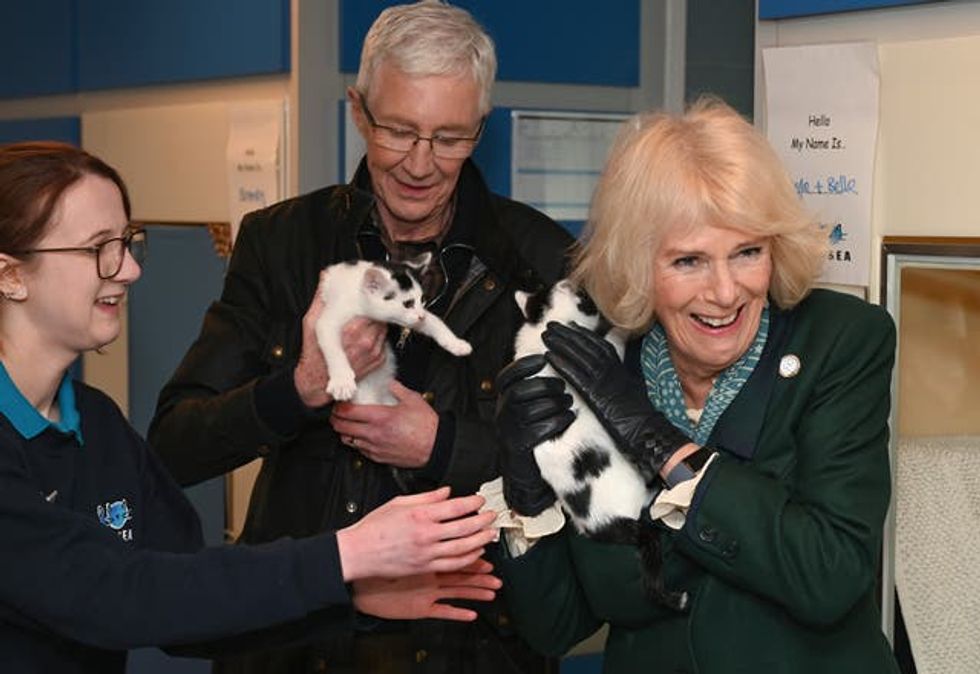 Camilla wins dog loyalty duel with Paul O’Grady at charity centre | indy100