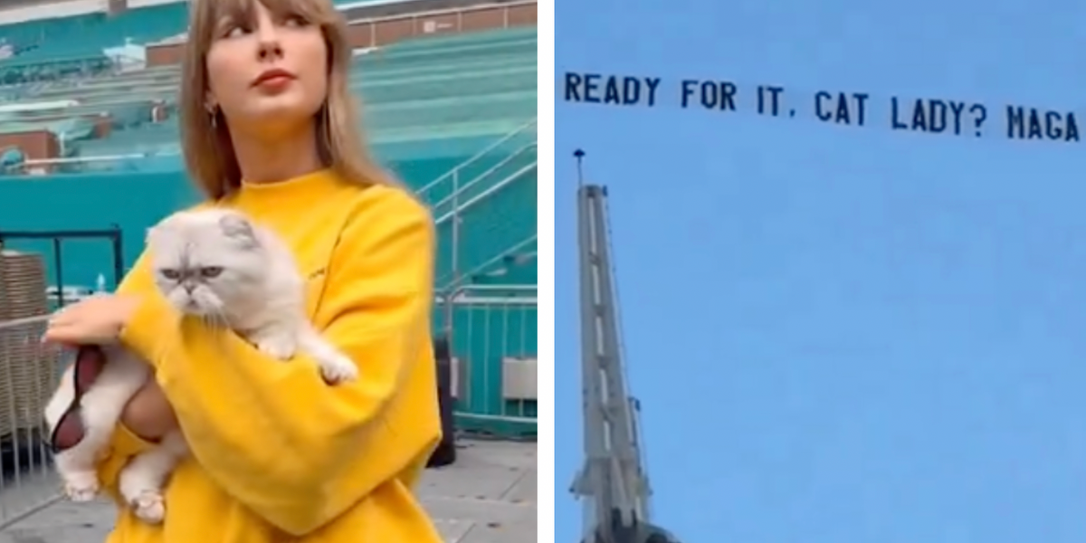Donald Trump supporter taunts Taylor Swift with 'cat lady' comments ... Donald Trump supporter taunts Taylor Swift with 'cat lady' comments ...
