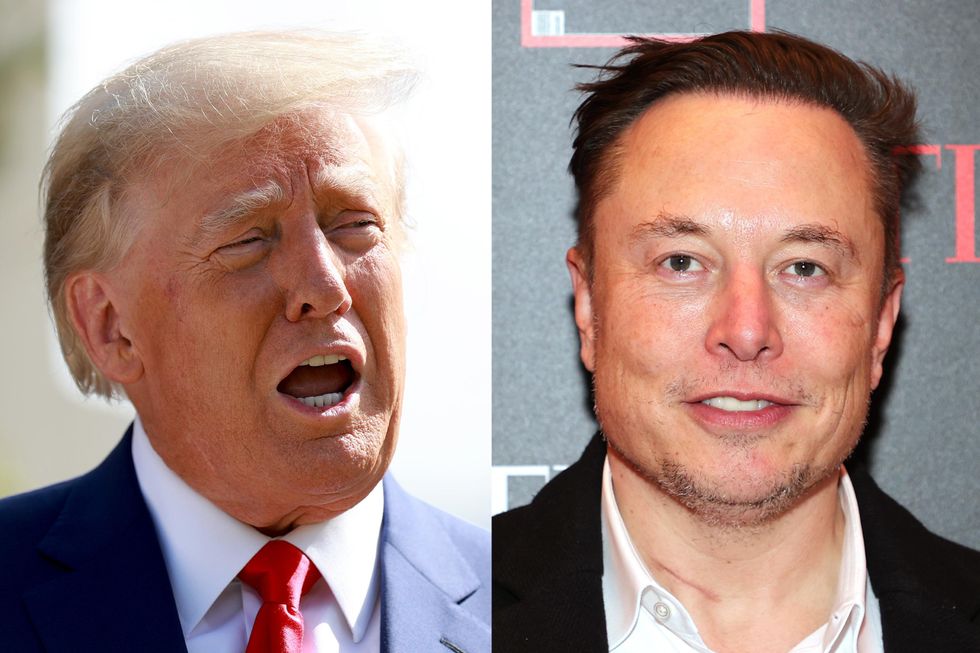 Donald Trump has a theory about Elon Musk's embarrassing Twitter poll ... Donald Trump has a theory about Elon Musk's embarrassing Twitter poll ...