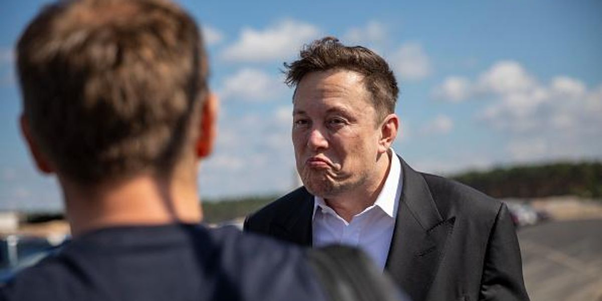 This sassy Elon Musk tweet might be the one that brings him down | indy100 This sassy Elon Musk tweet might be the one that brings him down | indy100