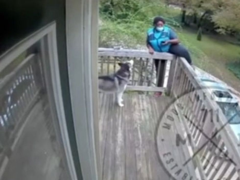 TikTok video shows terrified Amazon delivery worker climb over balcony ...