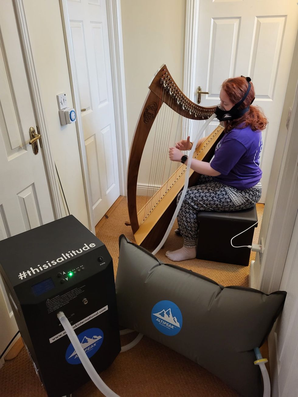 Harpist begins mission to break Guinness World Record on Mount ...